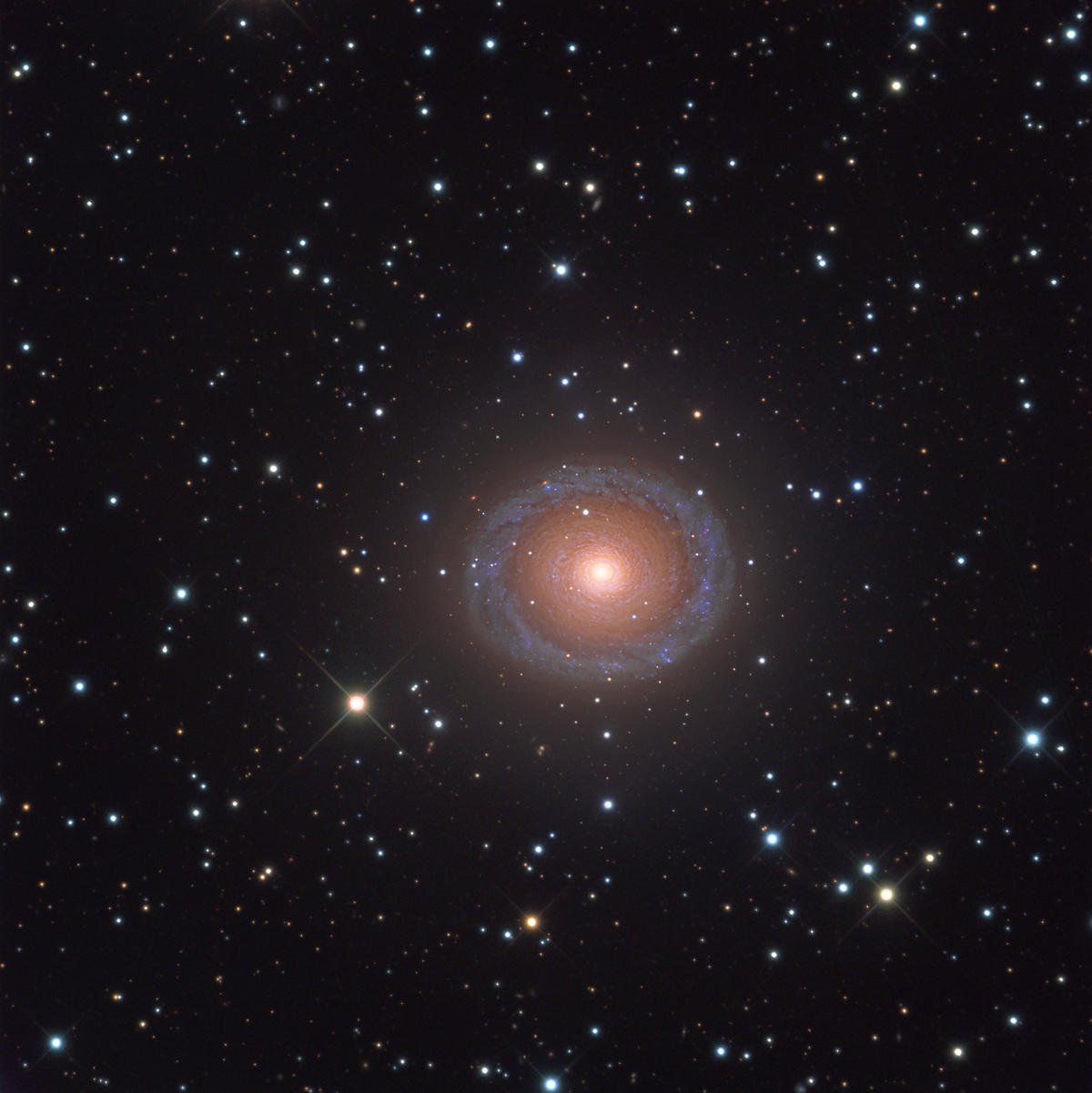NGC 7217 in Andromeda